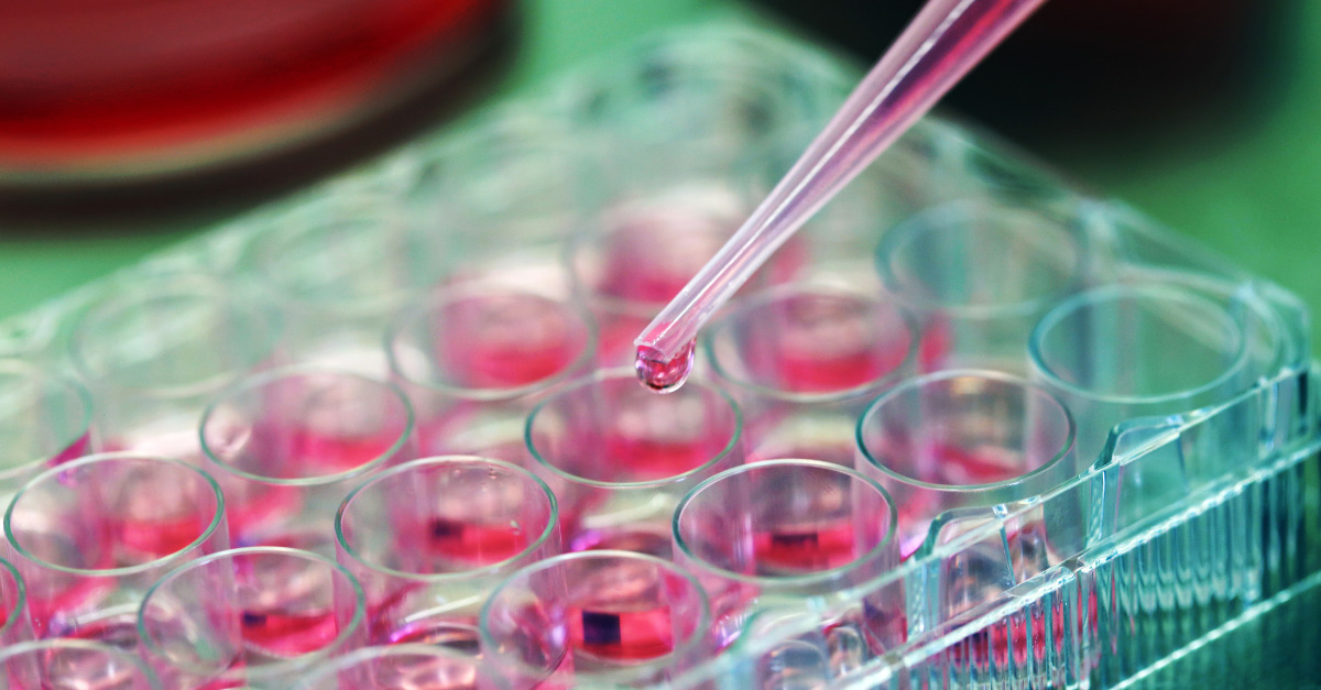 Mastering Clinical Trial Operations: Streamlining the Path to ...